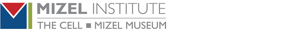 Mizel Institute | providing experiential learning through cultural ...